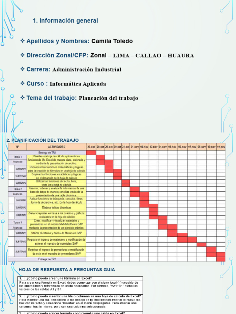 Planeación de Trabajo en Informática Aplicada | PDF