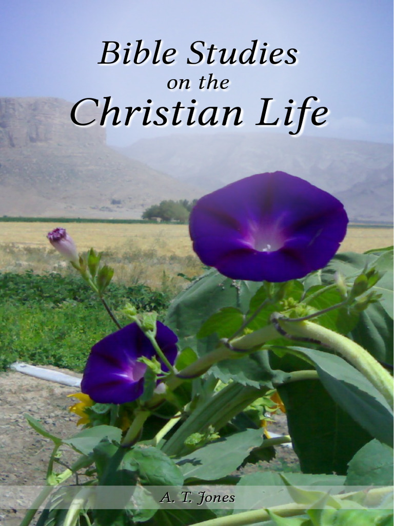 Bible Studies On The Christian Life | PDF | Grace In Christianity | Sin