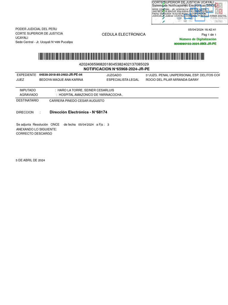 Exp. 04538-2018-85-2402-JR-PE-04 - Consolidado - 65968-2024 | PDF ...