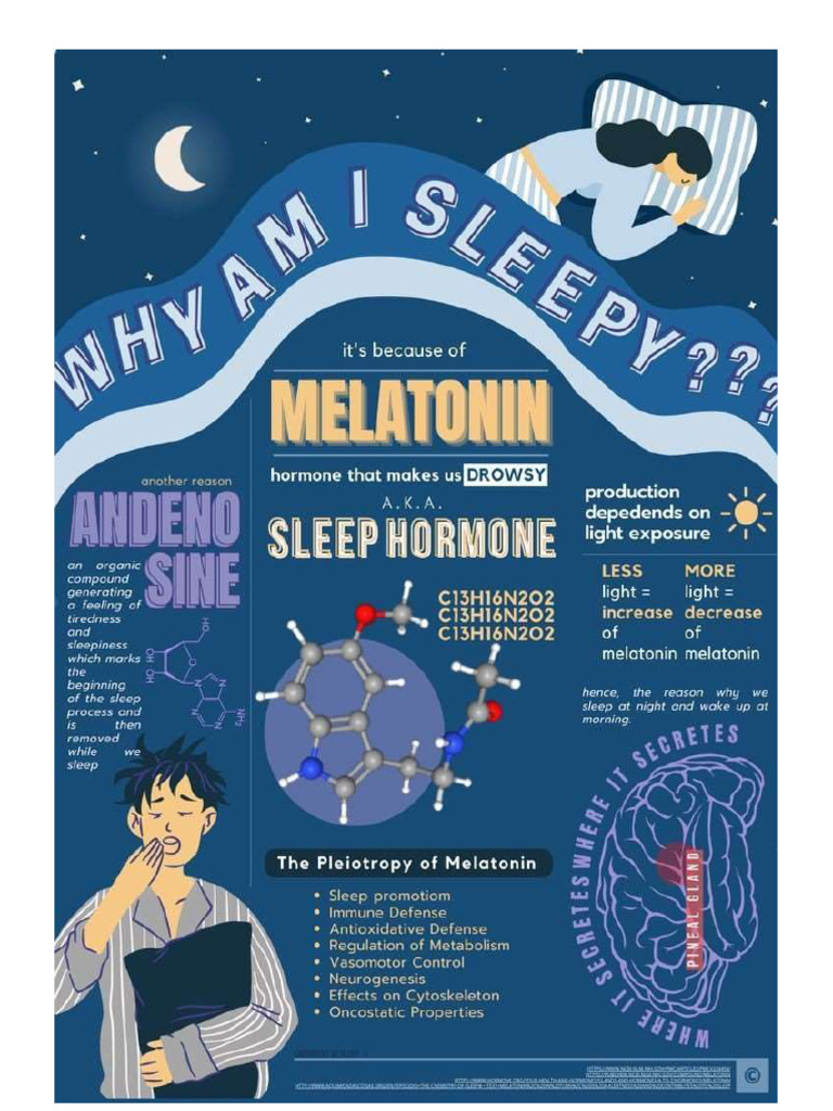 Why Am I Sleepy | PDF