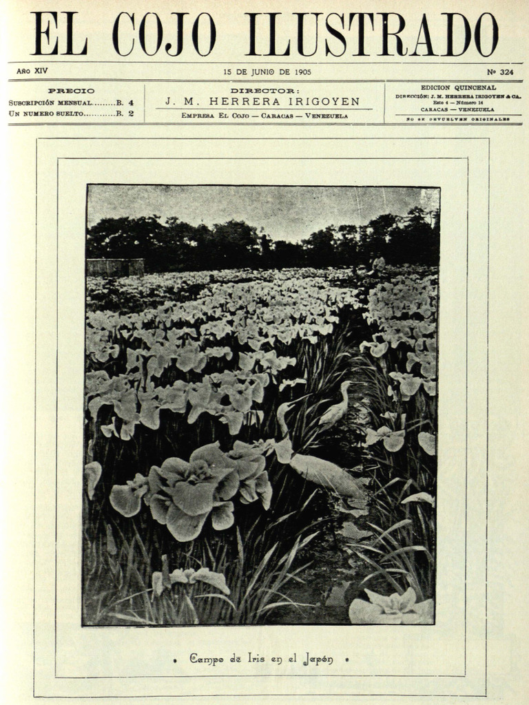 El Cojo Ilustrado | PDF