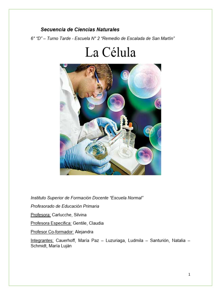 Secuencia Sexto | PDF | Microscopio | Biología Celular)