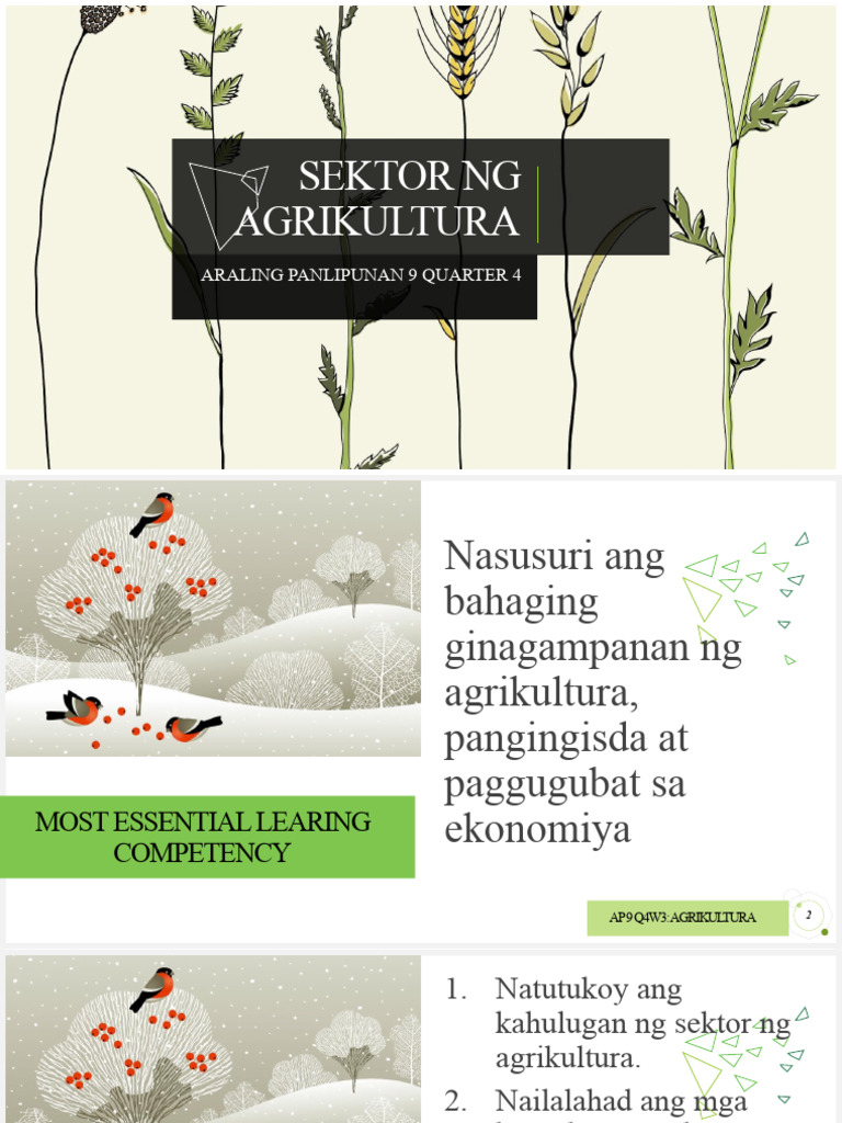 Co4 - Sektor NG Agrikultura-Ap9 | PDF