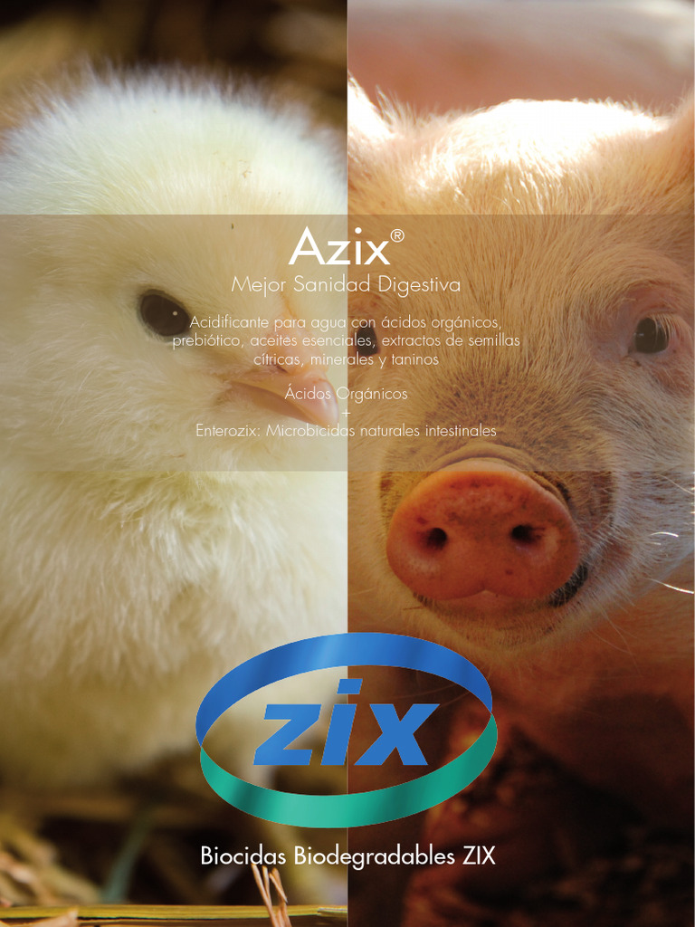 Azix: Biocida y Prebiótico para Animales | PDF | Salmonela | Tracto ...