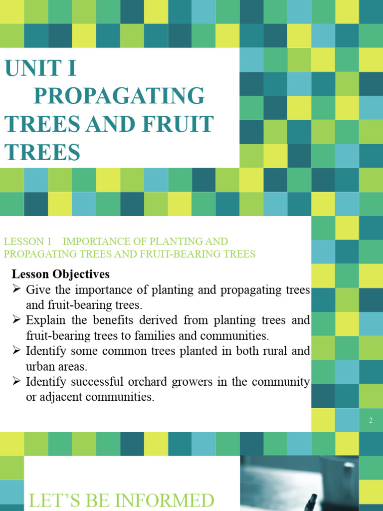 Importance of Planting Trees & Fruits | PDF | Trees | Banana