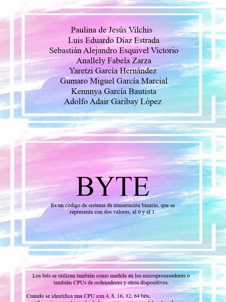 Byte, Hardware y Software | PDF | Hardware de la computadora | Poco