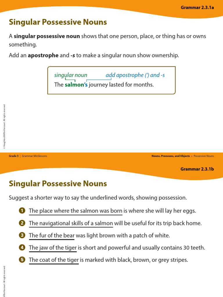 Understanding Possessive Nouns | PDF | Plural | Grammatical Number