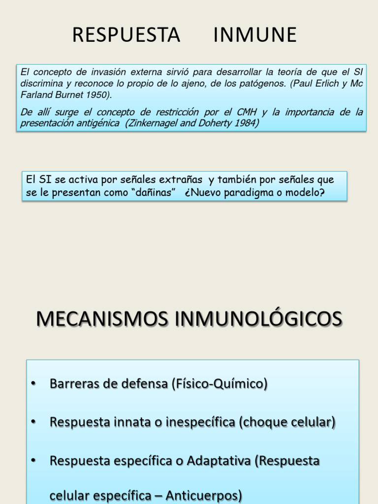 14 Respuesta Inmune | PDF | Sistema inmune | Linfocitos
