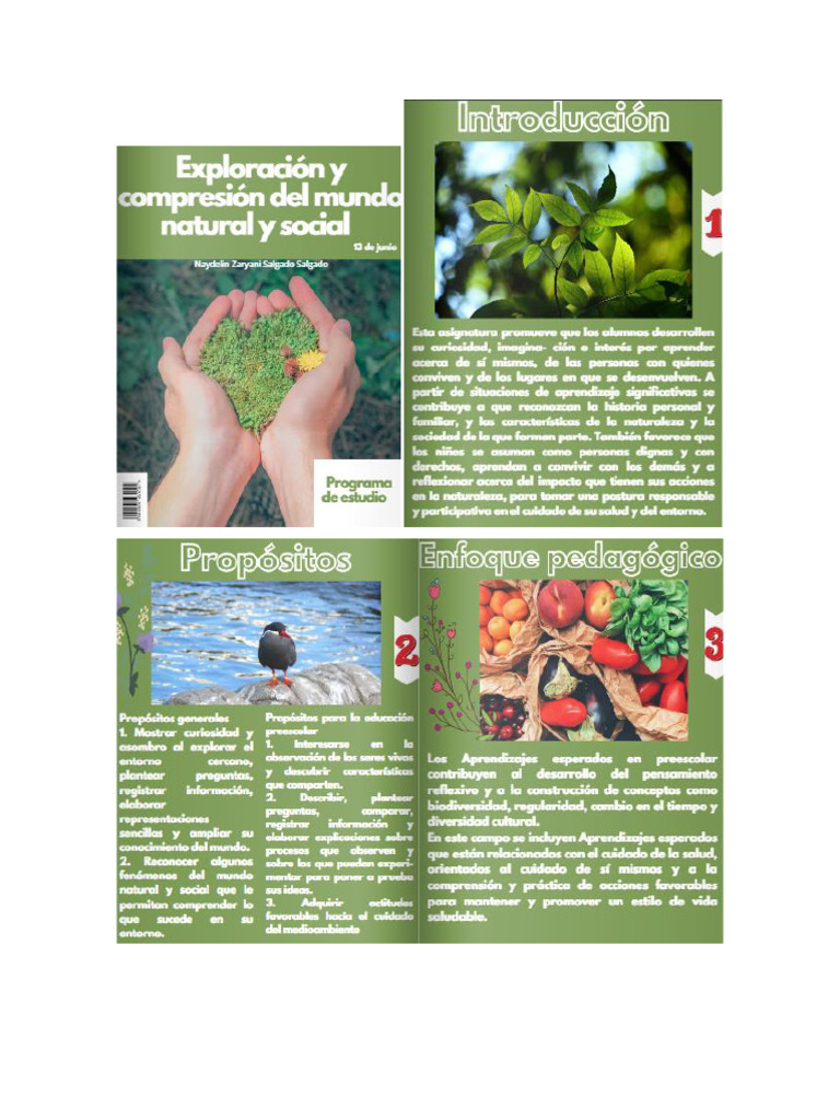 Exploracion y Comprension Del Mundo Natural | PDF