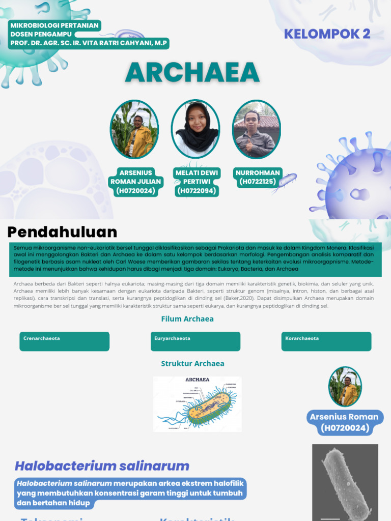 Kel 2 Archaea | PDF | Kesehatan Holistik
