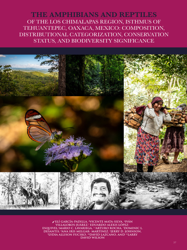 Biodiversity of Los Chimalapas Amphibians | PDF | Ecology