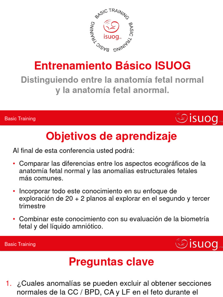 ISUOG Anatomía Fetal | PDF | Aorta | Abdomen
