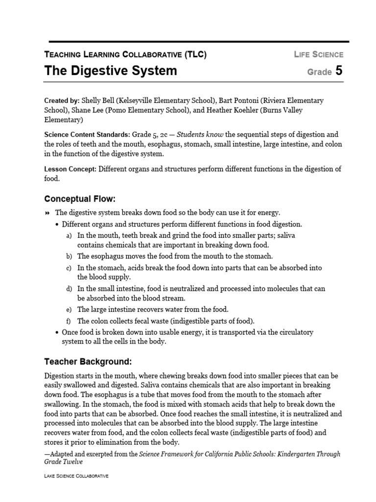 The Digestive System Grade 5 | PDF | Digestion | Human Digestive System