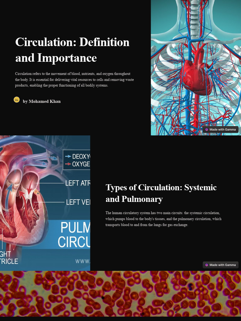 Circulation Definition and Importance | PDF | Blood | Blood Plasma