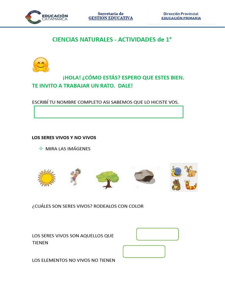 Actividades de Ciencias Naturales 1° | PDF | Hogar, jardinería y bricolaje