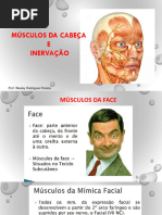 Anatomia Da Face Musculos Nervos e Arterias Dra Juliana Pedrosa | PDF ...