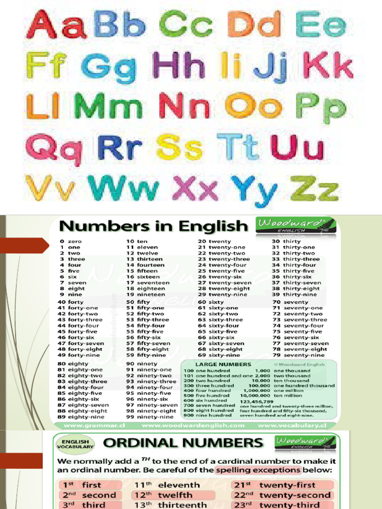INTENSIVE ENGLISH 1 Starter | PDF