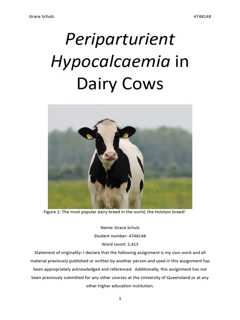 Hypocalcaemia Cows | PDF