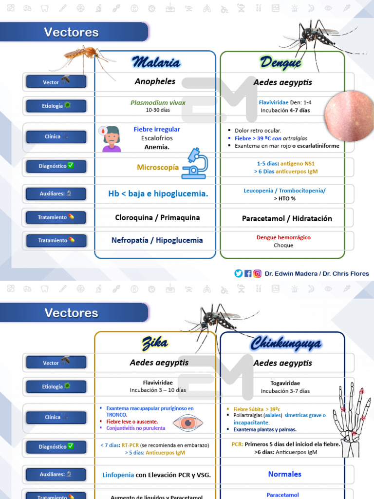 Vector Es | PDF | Epidemiología | Especialidades Medicas