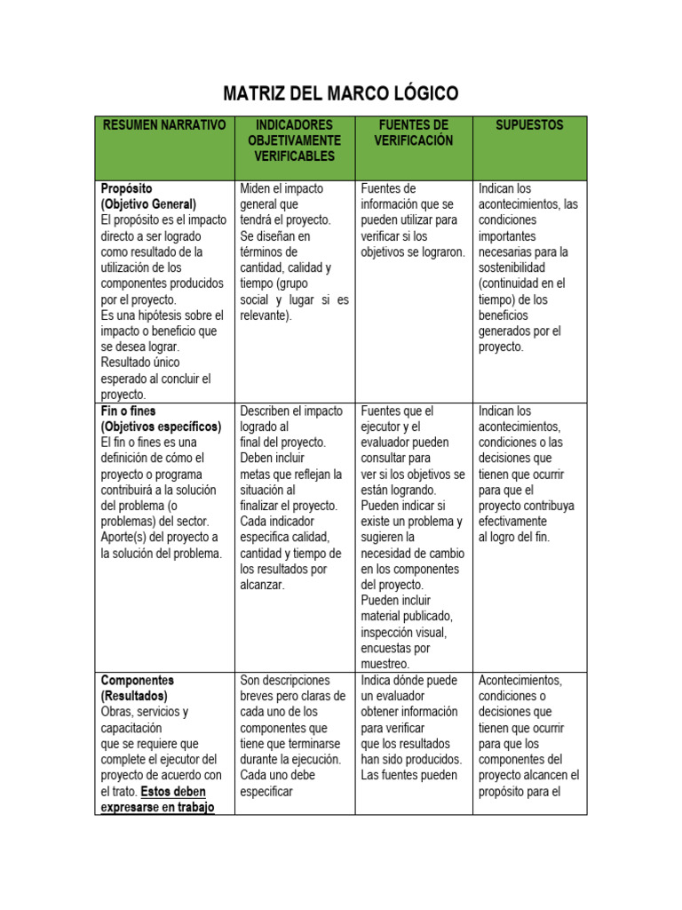 Matriz Del Marco Lógico | PDF | Presupuesto
