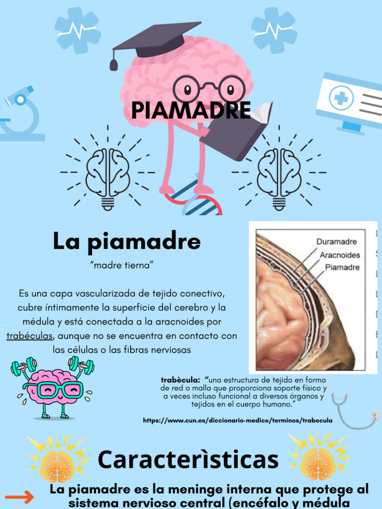 Piamadre 1 | PDF