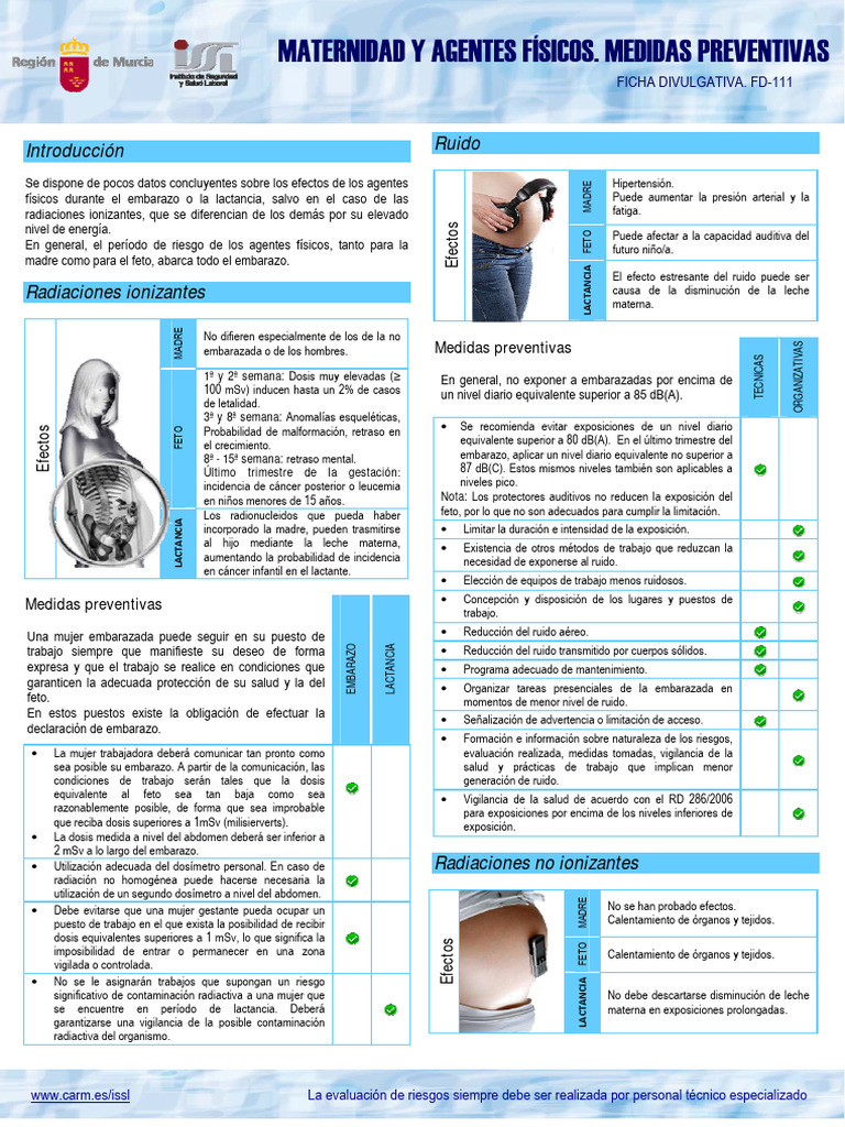 Prevención de Riesgos en Maternidad | PDF | El embarazo | Amamantamiento