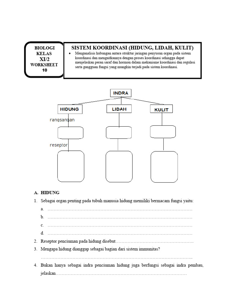 E-Smash Bio Xi-2 Worksheet 10 | PDF