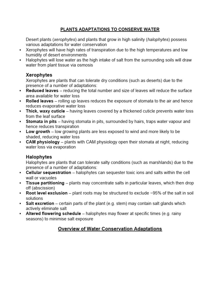 Plants Adaptations To Conserve Water | PDF