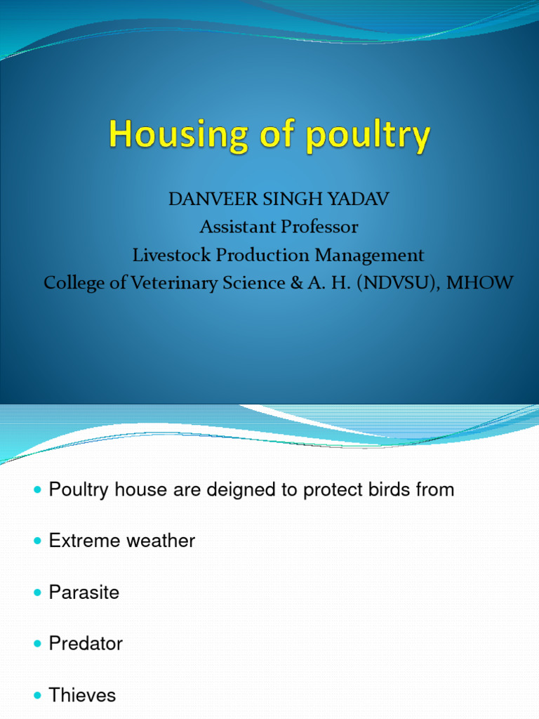 Housing System Of Poultry Download Free Pdf Birds