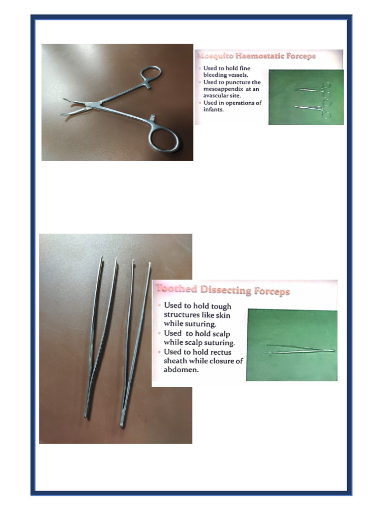 Surgery Ortho Practical Pdf Anatomy