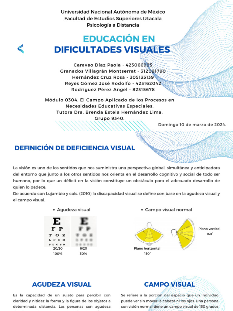 Discapacidad Visual | PDF | Discapacidad visual | Percepción visual