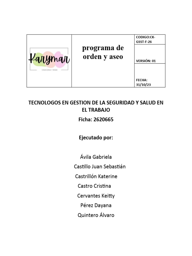 Programa de Orden y Aseo 1 | PDF | Higiene | Business