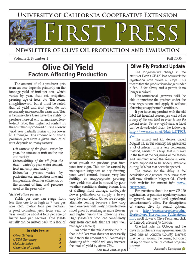 First Press: Olive Oil Yield | PDF | Olive | Olive Oil