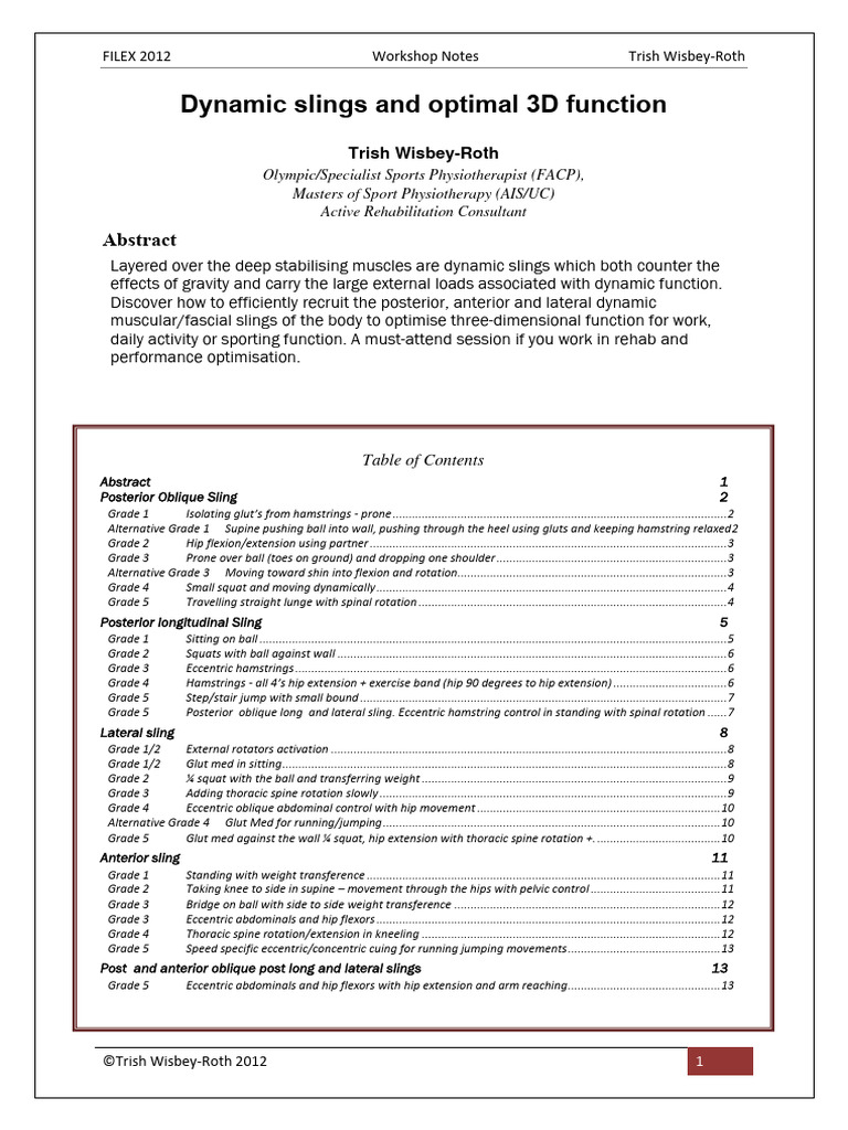 Sports Physio Rehab Techniques | PDF | Anatomical Terms Of Motion | Pelvis