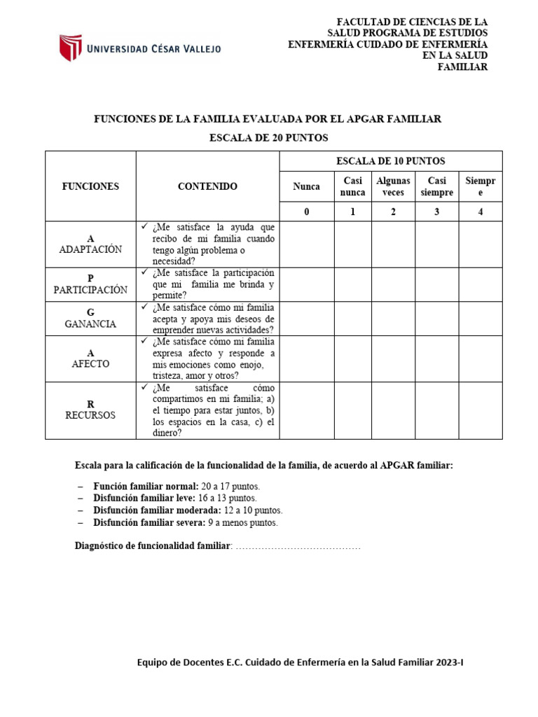 Apgar Familiar | PDF