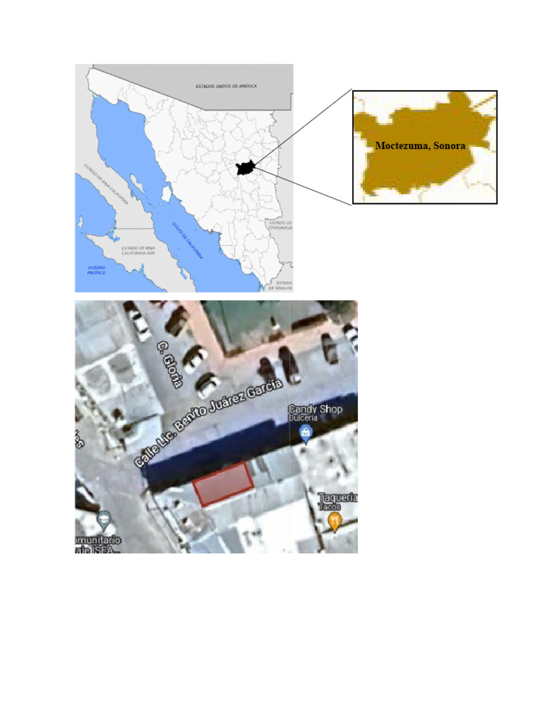 Macrolocalizacion y Microlocalización | PDF