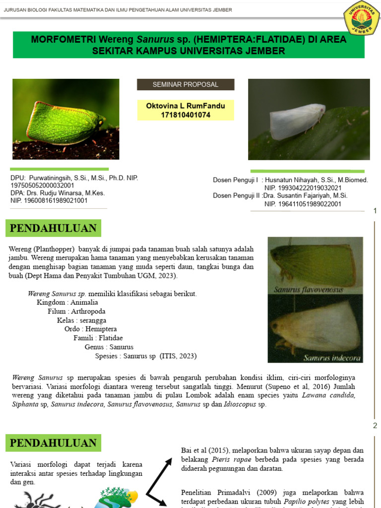 Morfometri Sanurus sp. di Universitas Jember | PDF