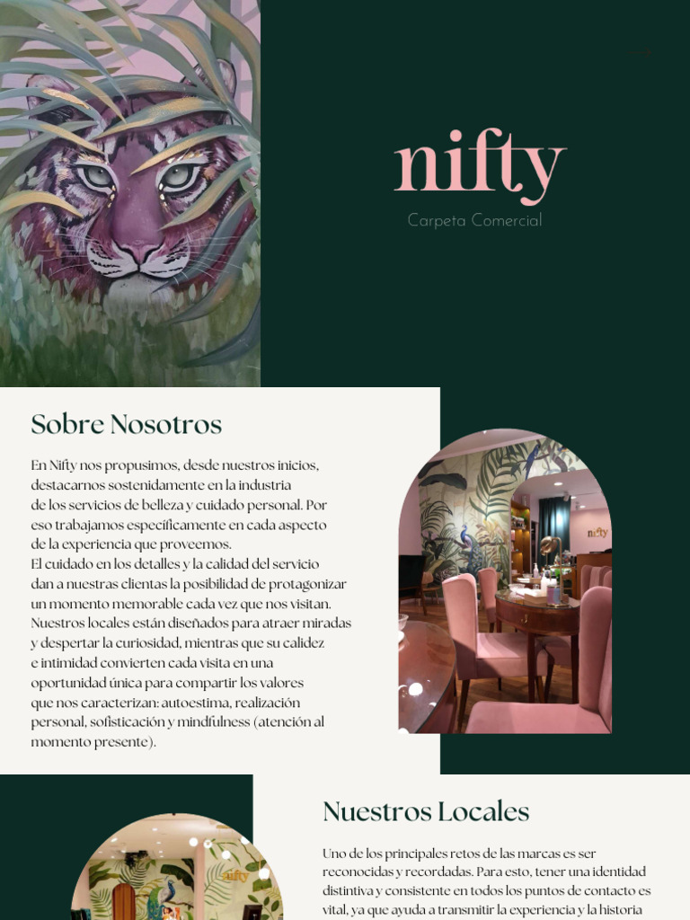 Franquicia Nifty | PDF | Marca