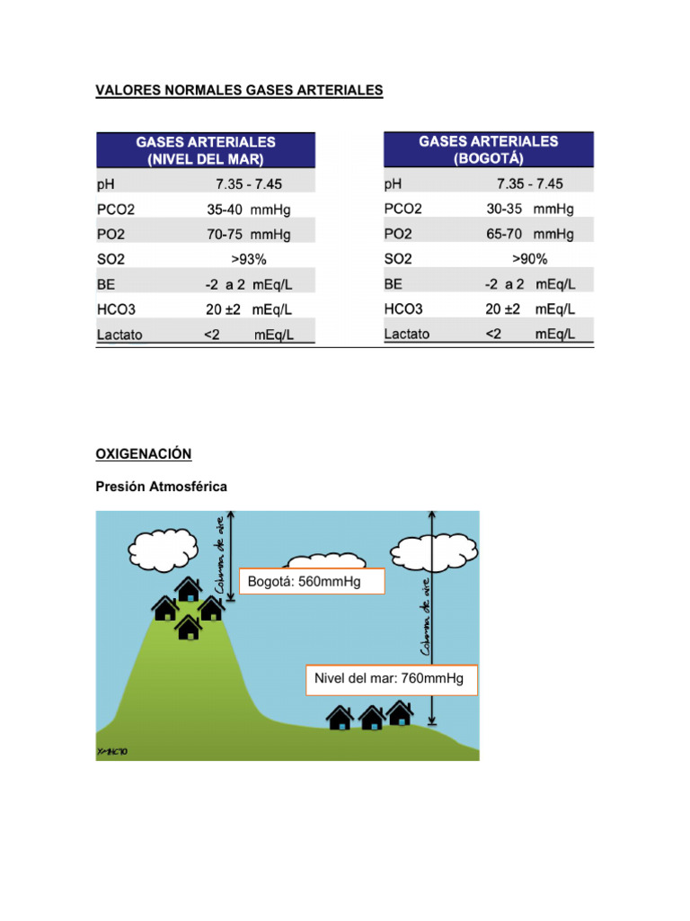 Flash Card - Gases Arteriales y Venosos | PDF