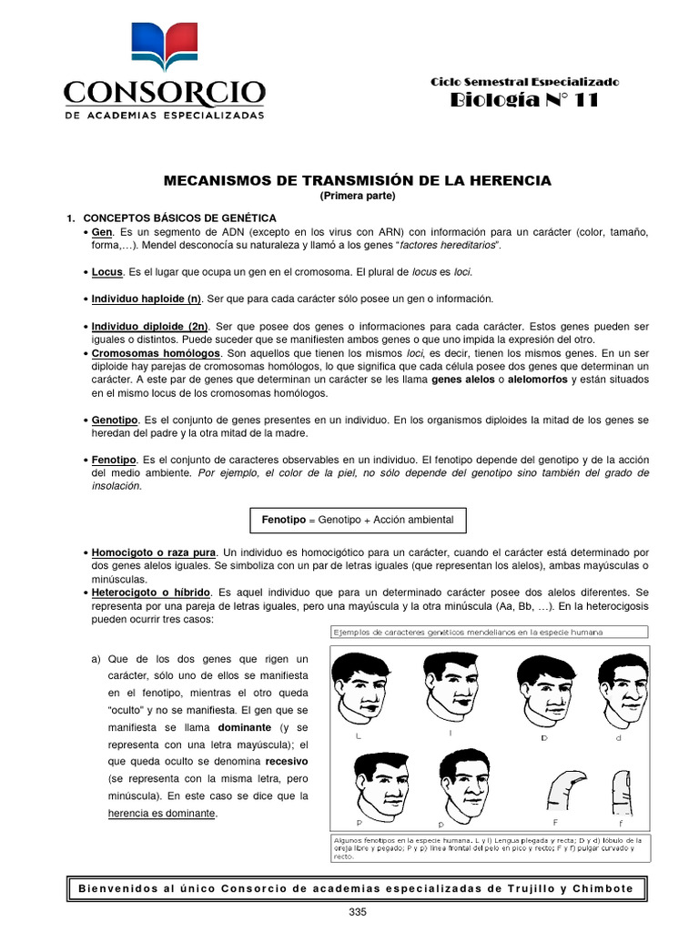Práctica De Genética I 11 Pdf Dominancia Genética Gene 8907