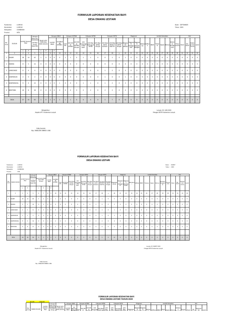 Format Sdidtk 2024 | PDF
