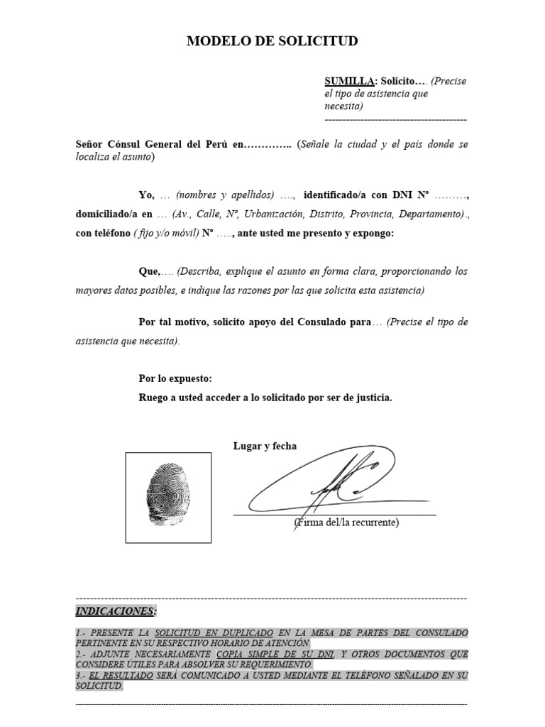 Modelo de Solicitud | PDF