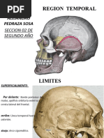 Anatomia Topografica de Cabeza y Cuello | PDF | Cráneo | Sistema esquelético