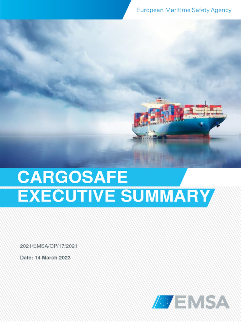 CARGOSAFE Executive Summary | PDF | Risk | Firefighting