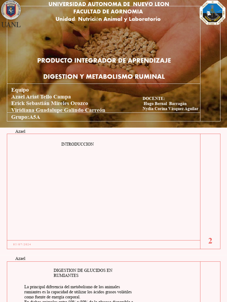 Pia Nutricion Animal | PDF | Digestión | Carbohidratos