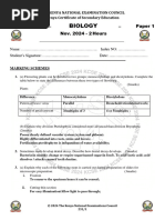 Mat PP2 Kcse 2025 Top Prediction Cycles | PDF | Circle | Taxes