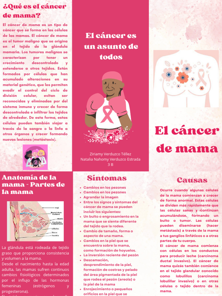 Cancer de Mama (Triptico) | Descargar gratis PDF | Cáncer de mama | Cáncer