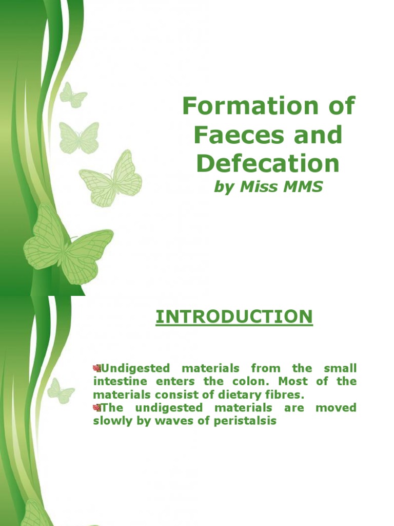 Formation Of Faeces And Defecation By Miss MMS PDF