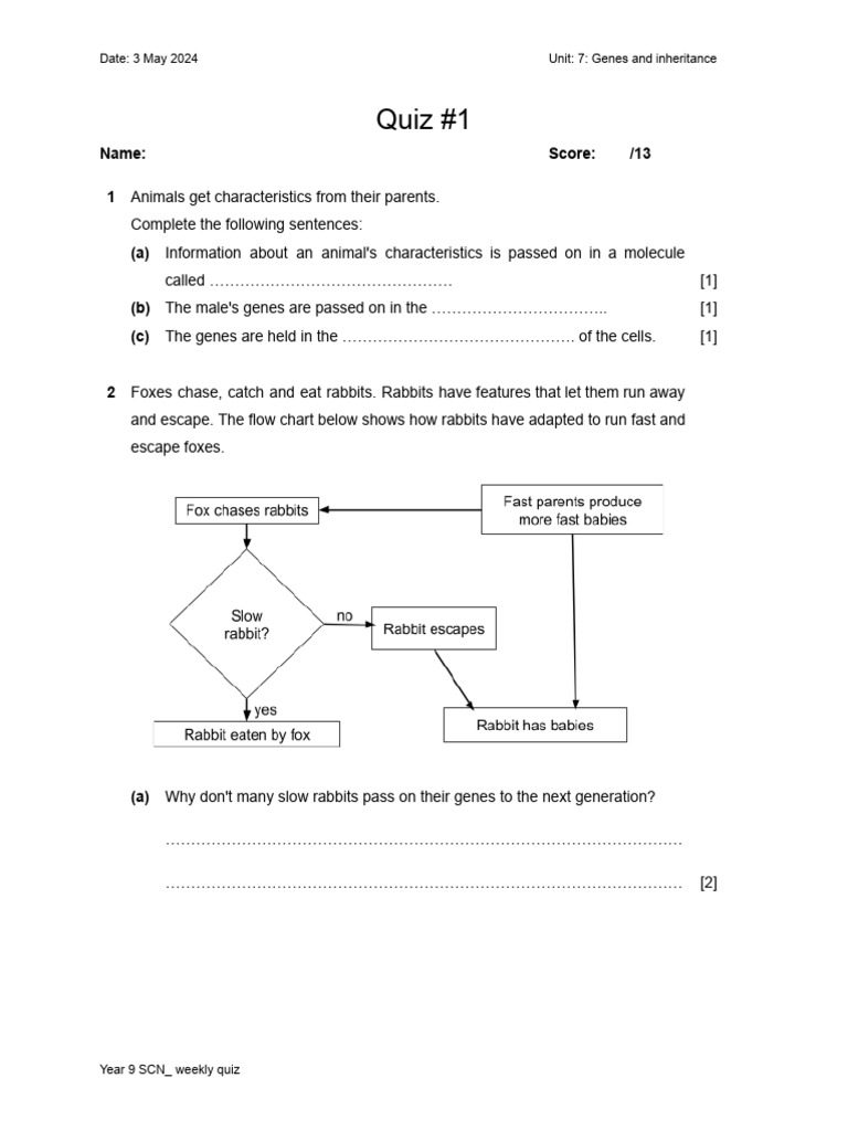 Y9 Quiz 1 | PDF | Heredity | Gene
