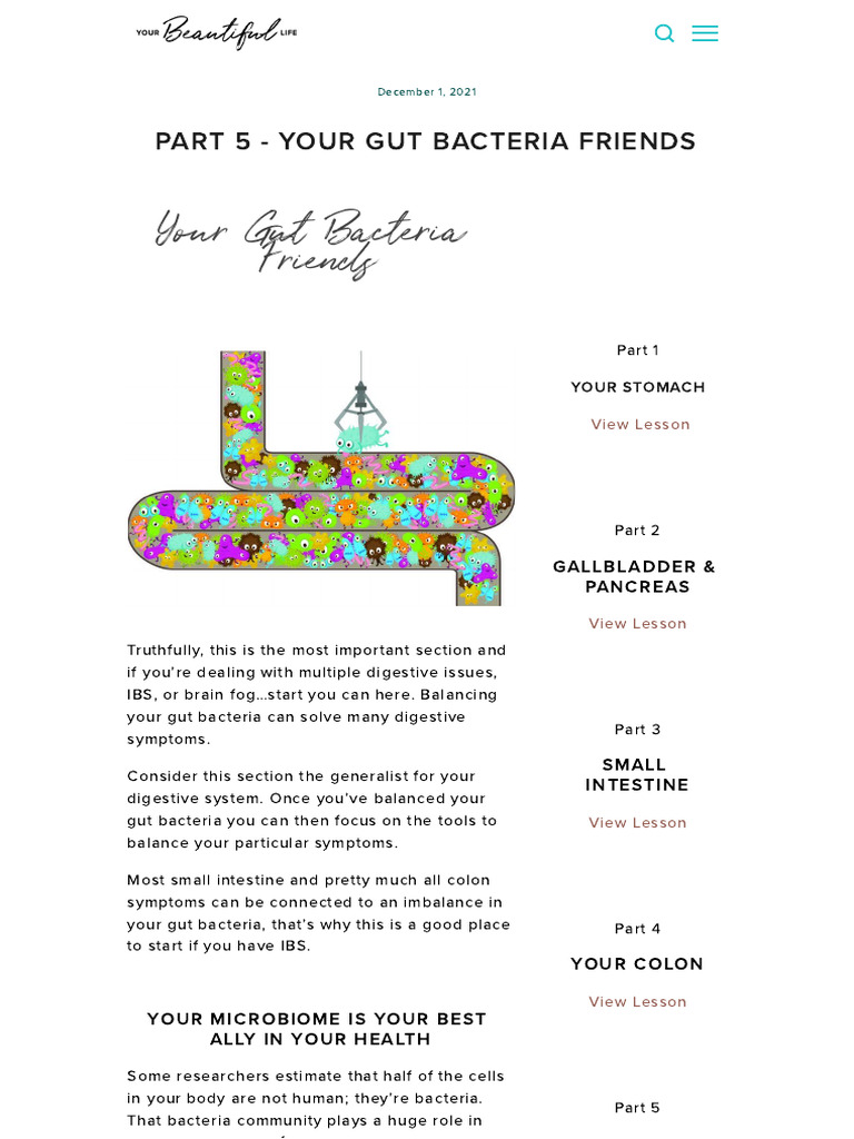 12.December2021Part 5 - Your Gut Bacteria Friends - Your Beautiful Life ...